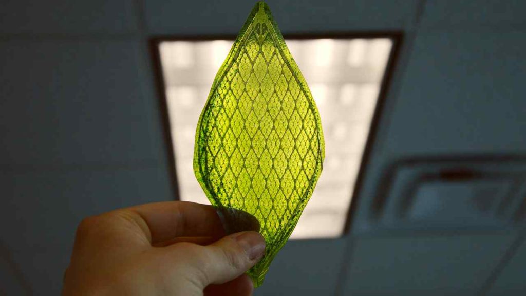 Scientists Develop "Artificial Leaf" That Sucks CO2 Out of Air ...
