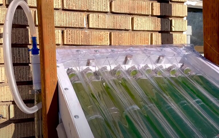 Goodbye Solar! Here Comes The Algae Panel!